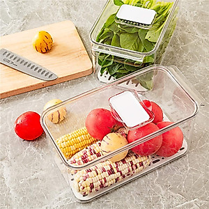 Large Food Storage Containers Fridge Produce Saver