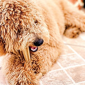 SPOT by Ethical Products 4 in Bambone Plus Easy Grip Peanut Butter, Beef & Chicken Dog Chew Bundle - Bamboo & Nylon Anti Anxiety Bone for Aggressive Chewers & Dental Health for Dogs - Small (4 Pack)