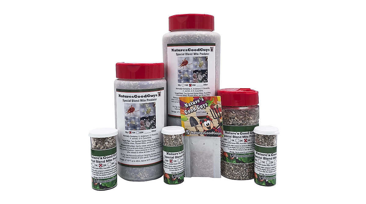 25,000 Predatory Mite Blend for Pest Control | Nature's Good Guys