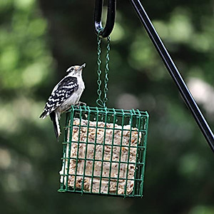 C&S Fruit n' Nut Treat