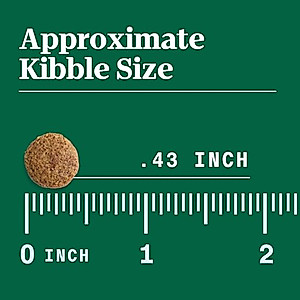 NUTRO Limited Ingredient Diet Adult Dry Dog Food Lamb & Sweet Potato Dog Kibble, 4 lb. Bag