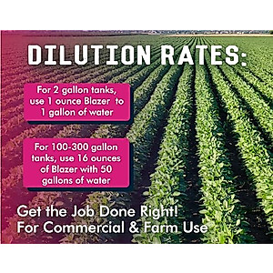 Liquid Harvest Blazer Spray Tank Cleaner, Pint (16oz), for Cleaning All Chemical Solution Residue - Spray Tank Cleaner for Gardening and Lawn