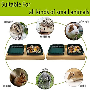 Acsist 4PCS Ceramic Hamster Bowl with Wood Stand Stylish Square Bunny Food Bowl Anti-Tipping Guinea Pig Water Bowl Dish for Rabbits Ferrets Chinchillas Hedgehogs Small Animal (Green)