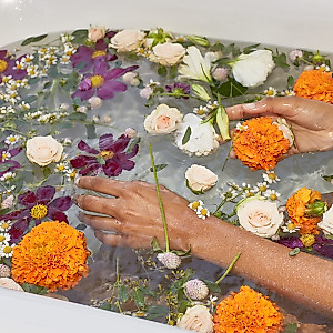 LATHER - Bamboo Lemongrass Natural Body Wash, 8 fl oz - Shower Gel Cleanser - Body Soap - Essential Oils - Green Tea, Aloe Vera, Jasmine - All Skin Types, Vegan, Cruelty Free - Beauty & Skincare