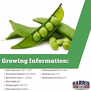 Garden Trends - Pea Seeds - Sugar Sprint Variety - Non-GMO Vegetable for Outdoor Planting Home Garden - Compact Vines - Edible, Stringless Pods - 100 Seeds