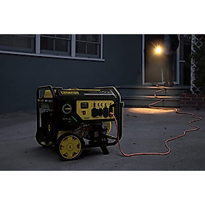 Champion Power Equipment 201194 11,500/9,200-Watt Dual Fuel Portable Generator, Electric Start