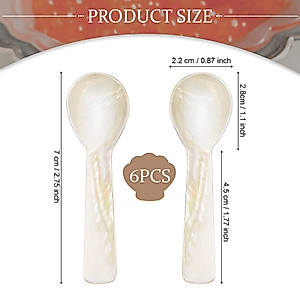 Caviar Spoons Mother of Pearl MOP Caviar Spoons with Hand Craft W Round Handle for Caviar, Egg, Ice Cream, Salt, Coffee Serving, Restaurant Serving Set (6 Pieces, 2.75 Inch)