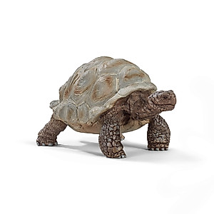 Schleich Wild Life Realistic Exotic Galapagos Giant Tortoise Figurine - Wild Animal Figurine Giant Tortoise Toy for Wildlife Play and Imagination for Toddlers Boys and Girls, Gift for Kids Age 3+