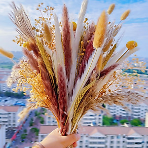120 Pcs Natural Dried Pampas Grass Bouquet Boho Home Decor Dried Flowers for Fall Decor Bouquet Wedding for Centerpiece Table Decor Rustic Farmhouse Party Decor