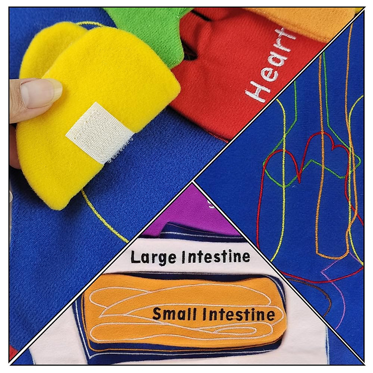 PRIMUZ 3D Organ Apron For Home Preschool Teaching Aid,Human Body Removabl Organs Apron ，Vital Organ Apron That Helps Children Understand The Internal Structure Of The Bod