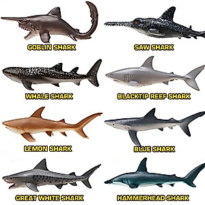 Yeonha Toys 8 Pack Shark Toys with Educational Booklet, Soft Plastic Realistic Shark Figure Set for Kid, Ocean Sea Animal Party Favor, Pool Bath Tub Toy for Toddler Child Boy Girl, Birthday Gift