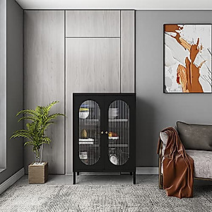 LINGZOE Black Storage Cabinet with Steel Frame and 2 Glass Door, Home Locker Sideboard Cabinet Organizer for Books, Magazines, DVDs Storage Shelf