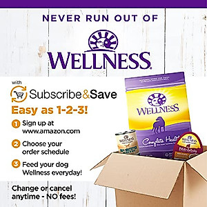 Wellness Complete Health Dry Dog Food with Grains, Natural Ingredients, Made in USA with Real Meat, All Breeds, For Adult Dogs (Chicken & Oatmeal, 30-Pound Bag)