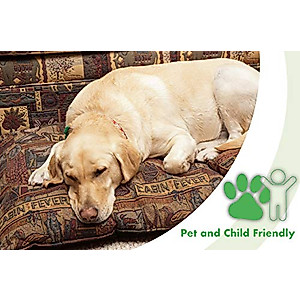 BuggyBeds® Bed Bug Glue Traps, Home, 12 Pack