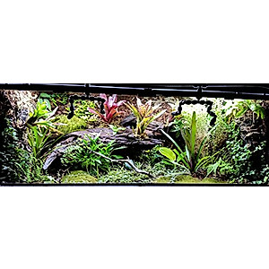 Josh's Frogs ABG Mix Tropical Plant Soil & Terrarium Vivarium Substrate (4 Quart/1 Gallon)