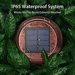 XMCOSY+ Solar Pathway Lights Outdoor, 6 Pack RGBW Solar Outdoor Lights, Auto On/Off IP65 Solar Lights Outdoor Waterproof, LED Solar Garden Lights Outdoor for Landscape Patio Lawn Driveway & Walkway