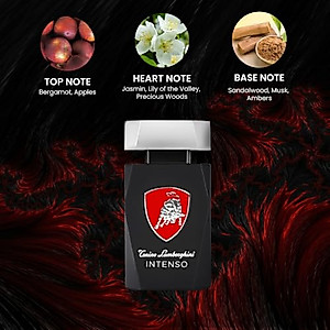 TORINO LAMBORGHINI Eau De Toilette Spray, Intense, 4.2 Fluid Ounce