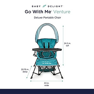 Baby Delight Go with Me Venture Portable Chair | Indoor and Outdoor | Sun Canopy | 3 Child Growth Stages | Teal