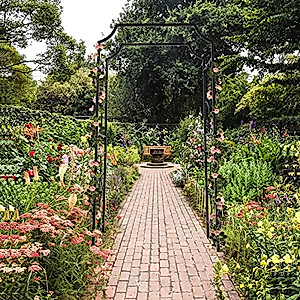 RICHRYCE Outdoor Metal Garden Arch with Double Gate, Garden Arbor for Various Climbing Plant, Outdoor Garden Lawn (25.3''W x 47.6''L x 102.3''H)