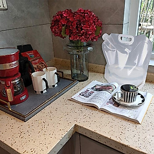 Soddeph 2.6 Gallon Collapsible Water Container Bag, BPA Free Food Grade Clear Plastic Storage Jug for Sport Camping Riding Mountaineer,Freezable,Food Grade (2.6 Gal, 4-pack)