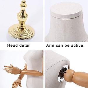 Mannequin Torso Mannequin Dress Form Torso Female Tailors Dummy Mannequin Dressmakers Dummies Display Bust Wood Arm Active Suitable for Apparel Jewelry Display Stand (C Small)