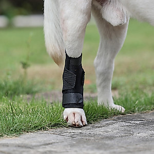 (S/M) Dog Leg Brace for Rear Leg,Rear Leg Hock Brace,Hock & Ankle Support,Dog Brace for Torn ACL & CCL,Dog Leg Sleeve with Reflective Straps,Black,1 Pair
