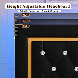 Fastroby Black Queen Size Bed Frame with LED Light, Adjustable Headboard Tufted, Velvet Upholstered Platform Bed Frame No Box Spring Needed, Easy Assembly