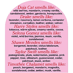 Cool Girl Candles | This Smells Like Harry Scented Candle | All Natural Coconut Soy Wax | The Best Strong Scented Candles for Home Fragrance | Clean Burning | Funny Gifts | 8.5 fl oz