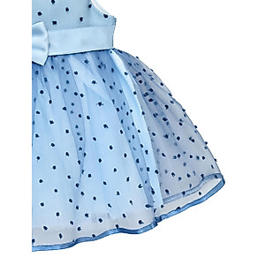 Lilax Baby Girl Lace Sleeveless Dot Tulle Dress Pageant 3 Piece Party Wedding Outfit (3-6 Months, Blue)