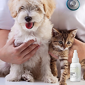 NEXDERMA Pet Stem Gel with Green Tea Extract, Wound Hot Spot Hydrogel, Soothing Relief and Protection for Itchy or Irritated Skin, Rashes and Sores, Safe for Dogs, Cats and Horses - 30ml, Pack of 1