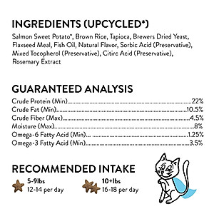 Shameless Pets Crunchy Cat Treats - Kitty Treats for Cats with Skin & Coat Support, Natural Ingredients Kitten Treats with Real Salmon, Healthy Flavored Feline Snacks - Yam Good Salmon, 1-Pk