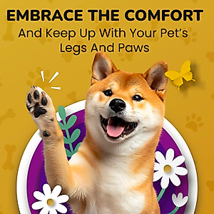 PetMade Dog Hip and Joint Supplement - Junior and Senior Dog Supplements for Mobility, Flexibility Support and Bone Strength, Deluxe Glucosamine Chondroitin for Dogs, 16 oz