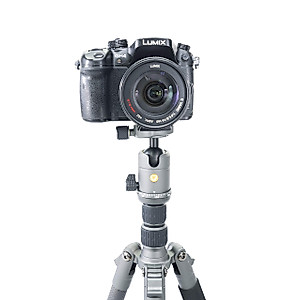 Vanguard VEO2GO235CB Carbon Fiber Travel Tripod with Ball Head for Sony, Nikon, Canon, Fujifilm Mirrorless, Compact System Camera (CSC), DSLR Grey