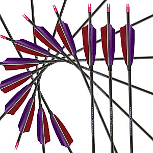 12PCS 600 Spine Pure Carbon Arrows with Real Turkey Feathers Removable 100 Grain Tips Plastic Nocks for Archery Target Hunting