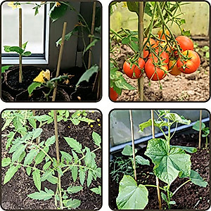 Plant Stakes,Stroller 20PCS Natural Bamboo Garden Plant Sticks for Indoor and Outdoor Plants,18 Inches Plant Support Stakes for Tomatoes,Flowers,Potted Plants