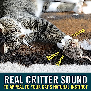 OurPets Play-N-Squeak Twice the Mice Cat Toy, 2pc (Interactive Cat Toy, Catnip Toy, Catnip Toys for Cats, Real Mouse Electronic Sound, Catnip, Cat Toys)