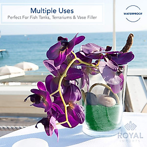 Royal Imports Decorative Beach Sand for Vase Filler, Wedding, Home Decor, Arts & Crafts, Fire Pit, Fireplace, Pet Tank Habitat - 4.5 LBS, Natural Beige