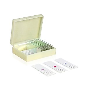 Vision Scientific VSH113 Prepared Slide Set – Apologia Biology Series (Set of 16) | Slotted Slide Case for Convenient Storage | Slides are Clearly Labelled | Specimens are Cover Slip Sealed