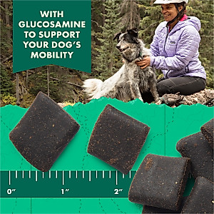 Zukes Hip and Joint Dog Treats, Soft and Chewy Natural Bag of Treats, Hip and Joint Support, Chicken Recipe - 6 oz. Bag