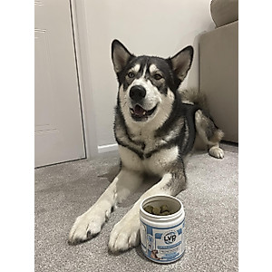 Pet Hip & Joint Supplements - Krill Oil and Glucosamine for Dogs Soft Chews, Joint Supplement for Dogs with Krill Oil,Glucosamine, Chondroitin, MSM, Turmeric, Anti Inflammatory, Mobility (Beef 90ct)