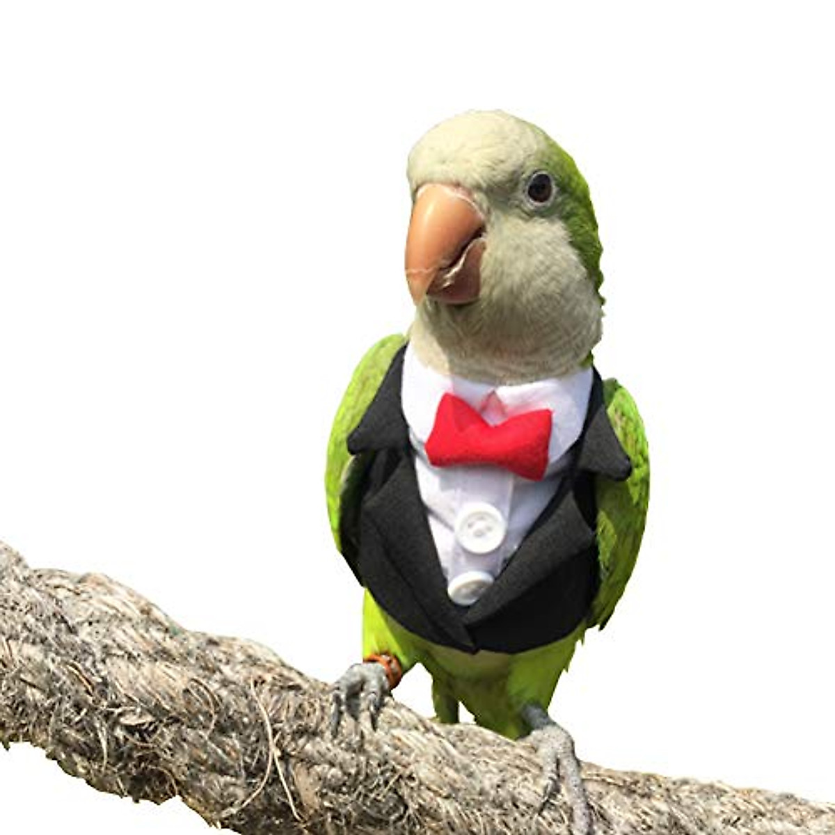 Pet Small Animals Clothes Birds Flight Suit for Parrots African Greys Parakeet Cockatiel Sun Conure, Cute School Uniform Tuxedo Business Suit for Christmas Party Birthday Pet Shows Cosplay Photo Prop