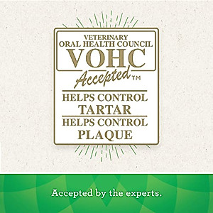 GREENIES Regular Natural Dog Dental Care Chews Oral Health Dog Treats, Pumpkin Spice Flavor, 12 oz. (12 Treats)