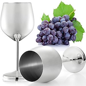 DEAYOU 2 Pack Stainless Steel Wine Glasses, 17 Oz Silver Steel Wine Goblet for Champagne, Indoor Outdoor, Party