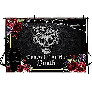 Sendy SENDY 7x5ft Funeral for My Youth Backdrop Death to My Twenties Birthday Party Decorations RIP to My 20s Banner Pink One Size