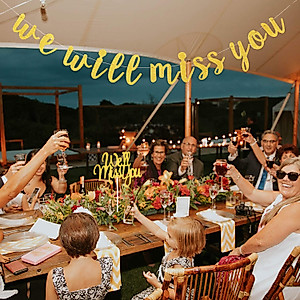 We Will Miss You Banner Gold Glitter Retirement Sign Farewell Banner with Cake Topper for Retirement Graduation Going Away Farewell Office Work Party Decorations