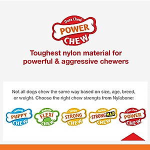 Nylabone Power Chew Flavor Frenzy Durable Dog Chew Toys Twin Pack Bacon Cheeseburger & Apple Pie Small/Regular (2 Count)