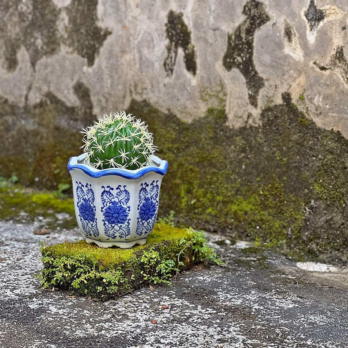 HakkaGirl Ceramic Pots for Plants, Chinoiserie Décor Ceramic Flower Pots Planters for Indoor Plants with Drainage, Blue and White, Set of 3