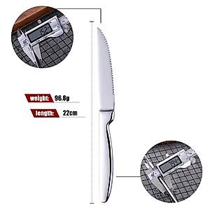 BISDARUN Steak Knife Set, 5 Piece Serrated Heavy Duty Stainless Steel Table Knife, One Piece Handle, Cuts Steak and Chicken, Bread (Rainbow Color)