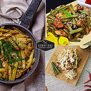 Survival Garden Seeds - Tri-Color Bean Seed for Planting - Packet with Instructions to Plant and Grow Yellow, Purple, and Green Bush Beans in Your Home Vegetable Garden - Non-GMO Heirloom Variety