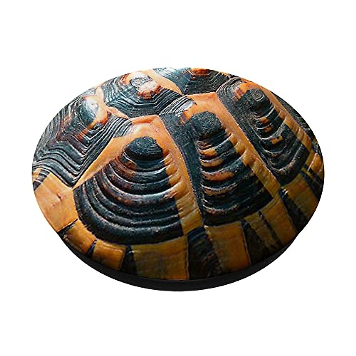 Reptiles Design Image Patterns Turtles PopSockets Swappable PopGrip
